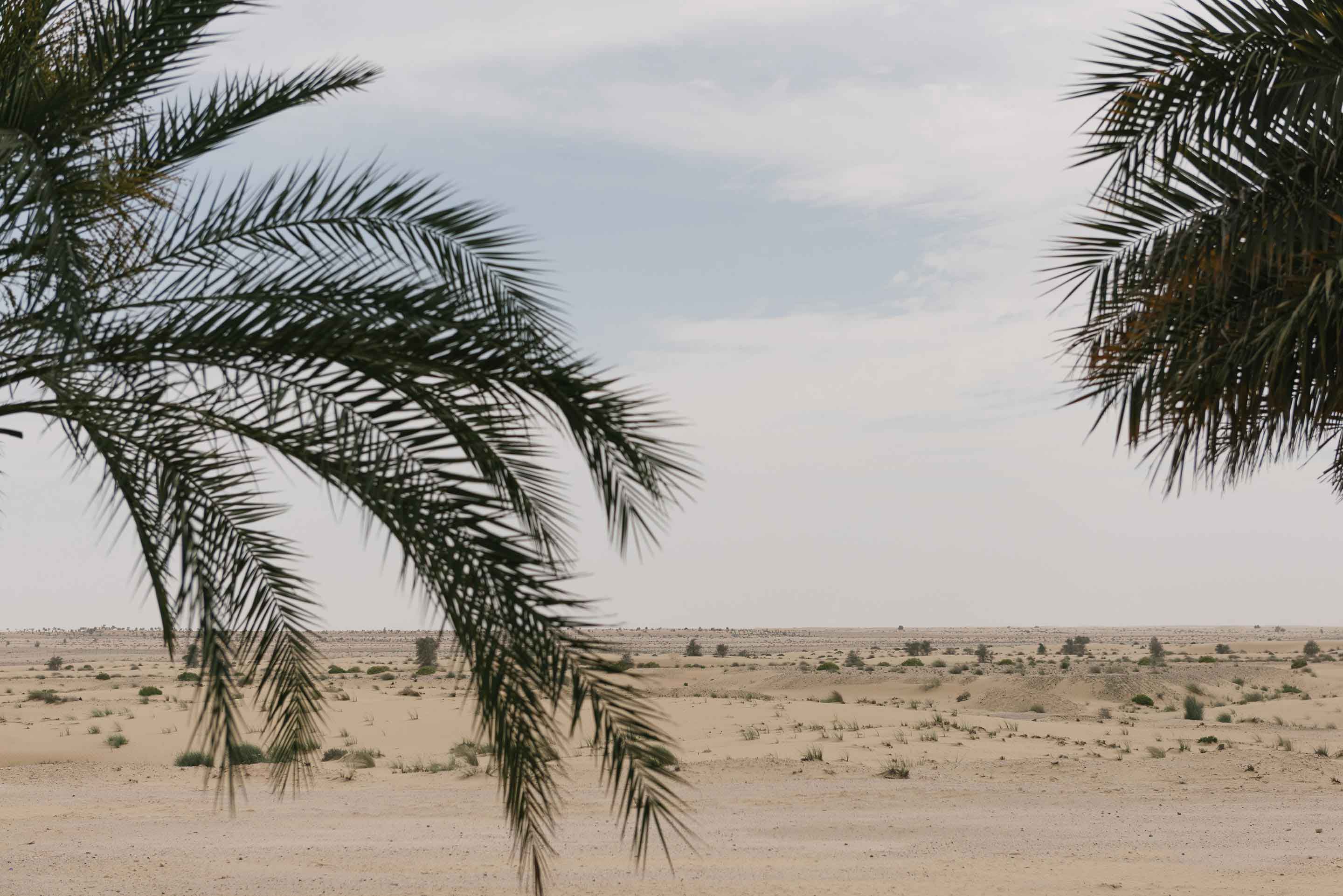 Deluxe Desert View Room | Bab Al Shams